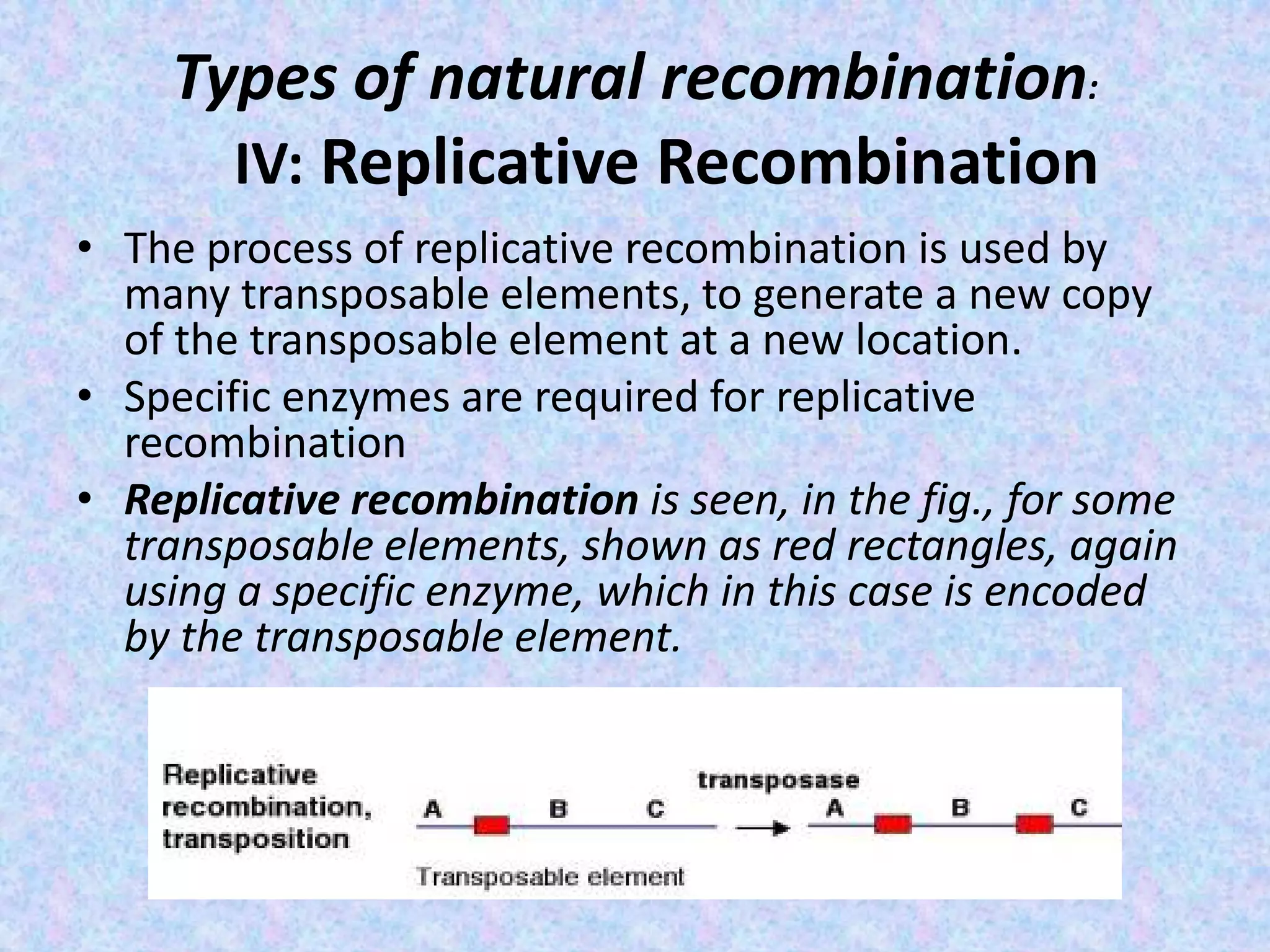 Genetic recombination in phages | PDF