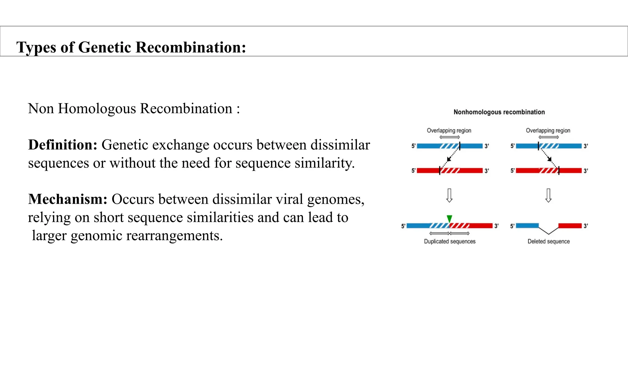 Genetic Recombination in Viruses: Mechanisms and Implications | PPTX