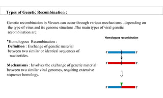 Genetic Recombination in Viruses: Mechanisms and Implications | PPTX