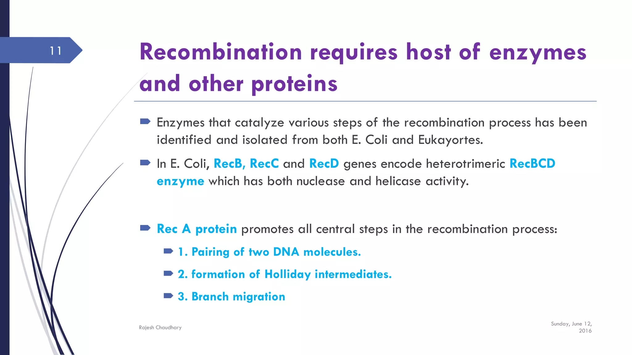 Genetic recombination mechanism | PDF