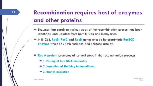Genetic recombination mechanism | PDF | Genetics | Science