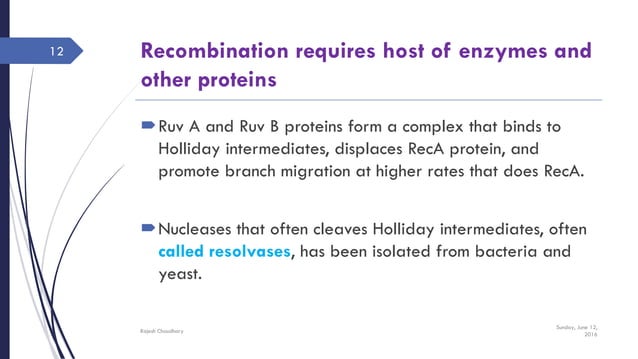 Genetic recombination mechanism | PDF | Genetics | Science