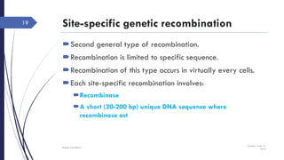 Genetic recombination mechanism | PDF
