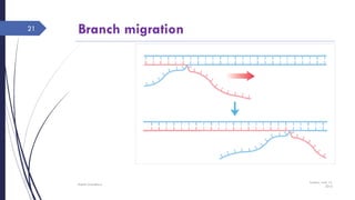 Genetic recombination mechanism | PDF