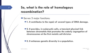 Genetic recombination mechanism | PDF