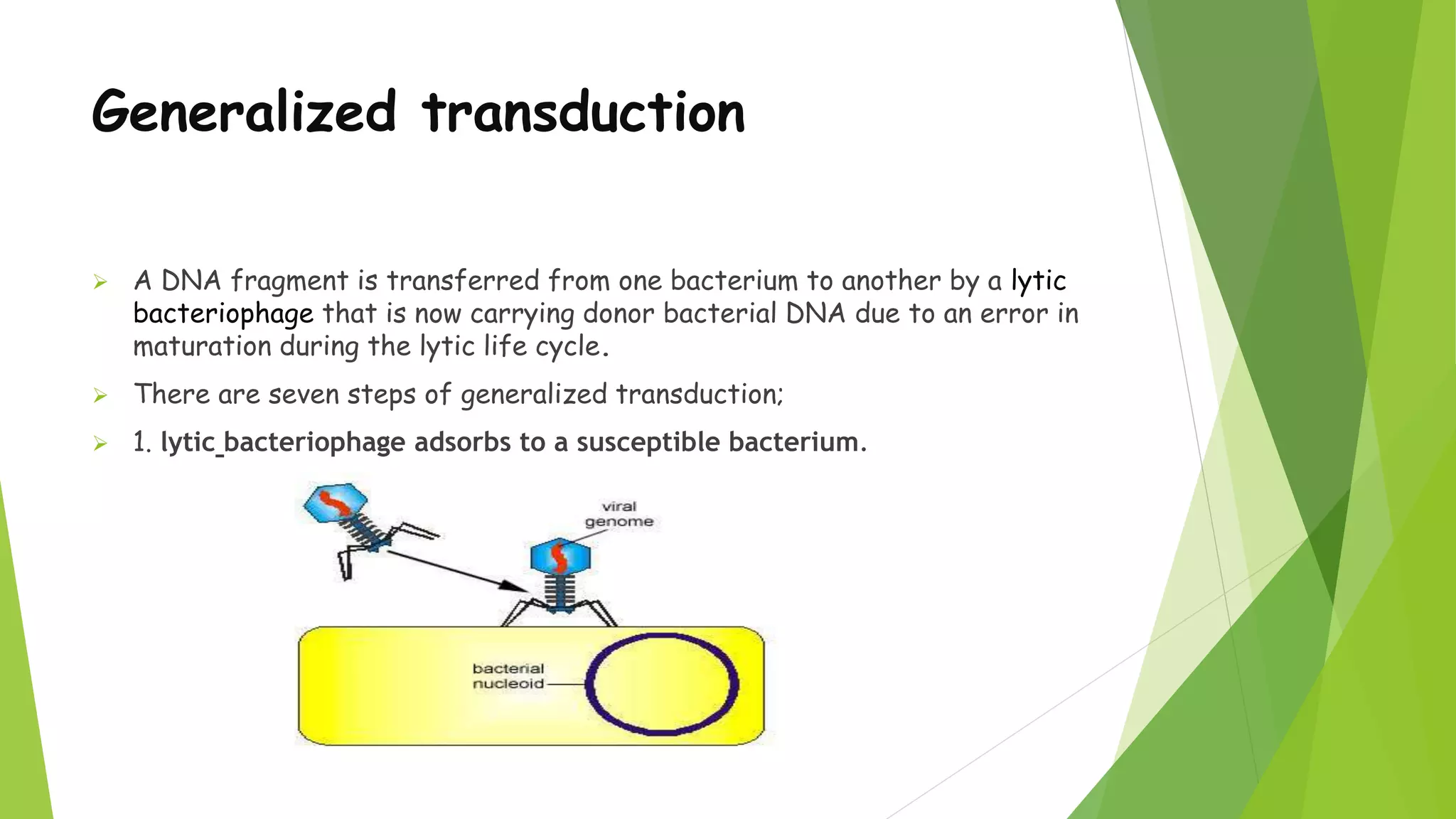 Genetic Recombinition in Bacteria | PPTX