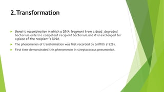 Genetic Recombinition in Bacteria | PPTX
