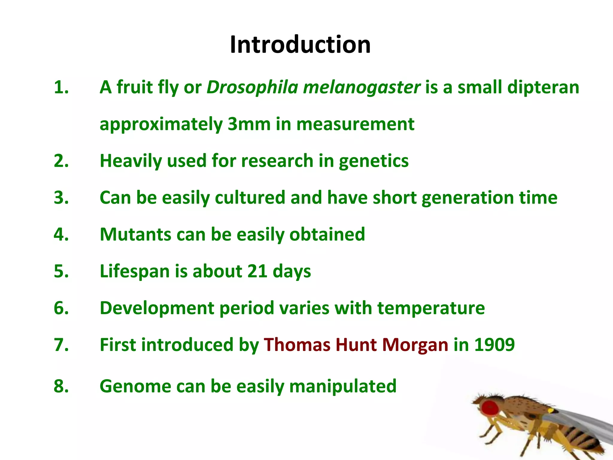 Genetic regulation n drosophila development | PPTX