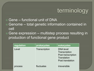 Genetic regulation 06 08-13 | PPTX
