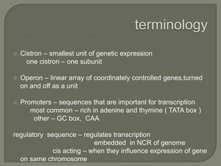 Genetic regulation 06 08-13 | PPTX