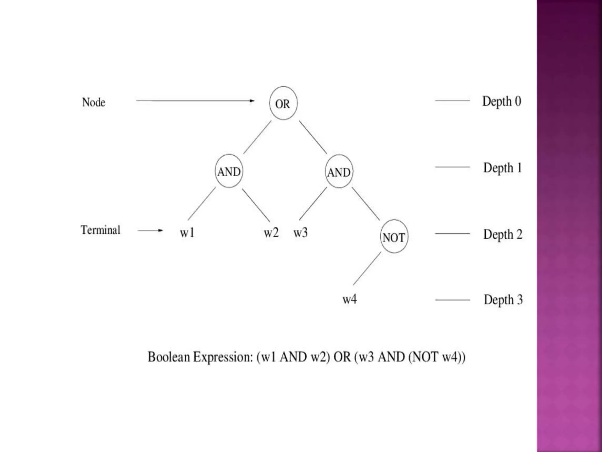 Genetic representation | PPTX