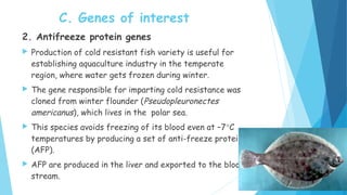 Genetic requirement for transgenic fish development | PPT