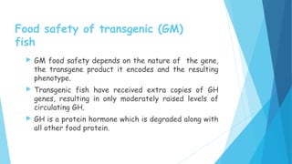 Genetic requirement for transgenic fish development | PPT
