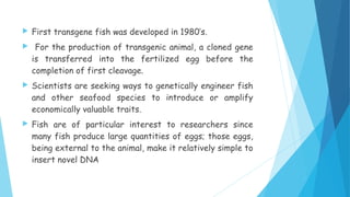 Genetic requirement for transgenic fish development | PPT