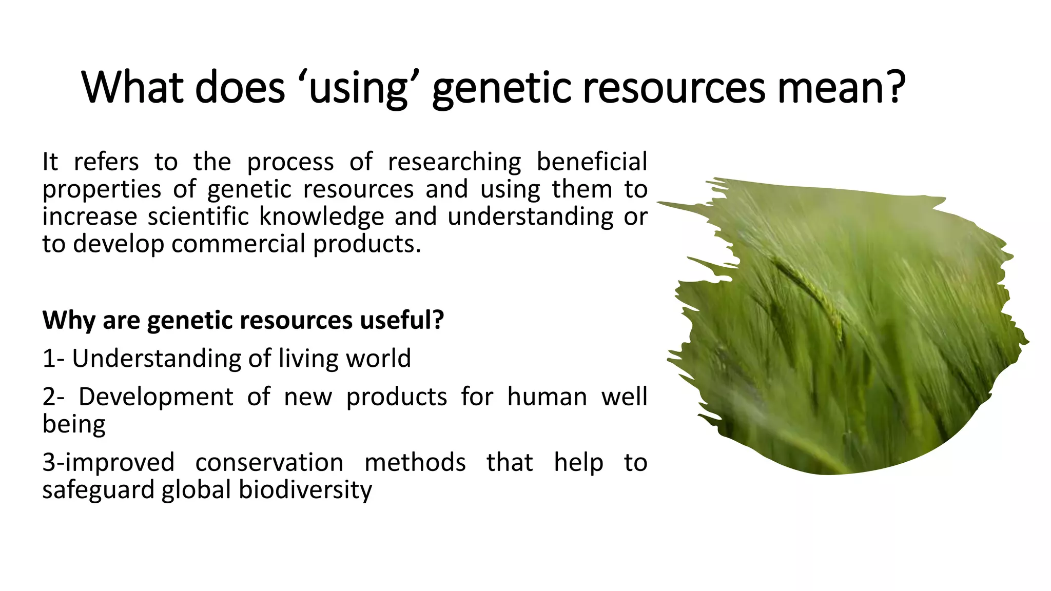 Lecture 1 Genetic Resource and ConservationL1.pptx
