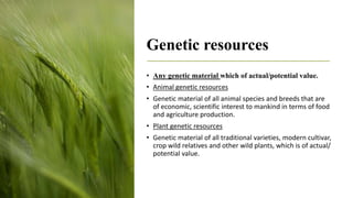 Lecture 1 Genetic Resource and ConservationL1.pptx