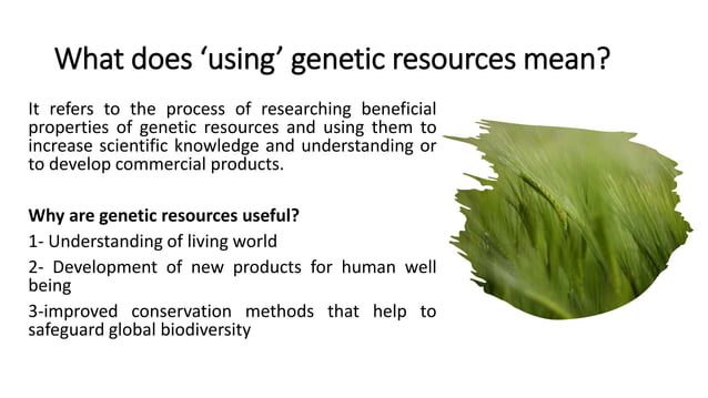 Lecture 1 Genetic Resource and ConservationL1.pptx