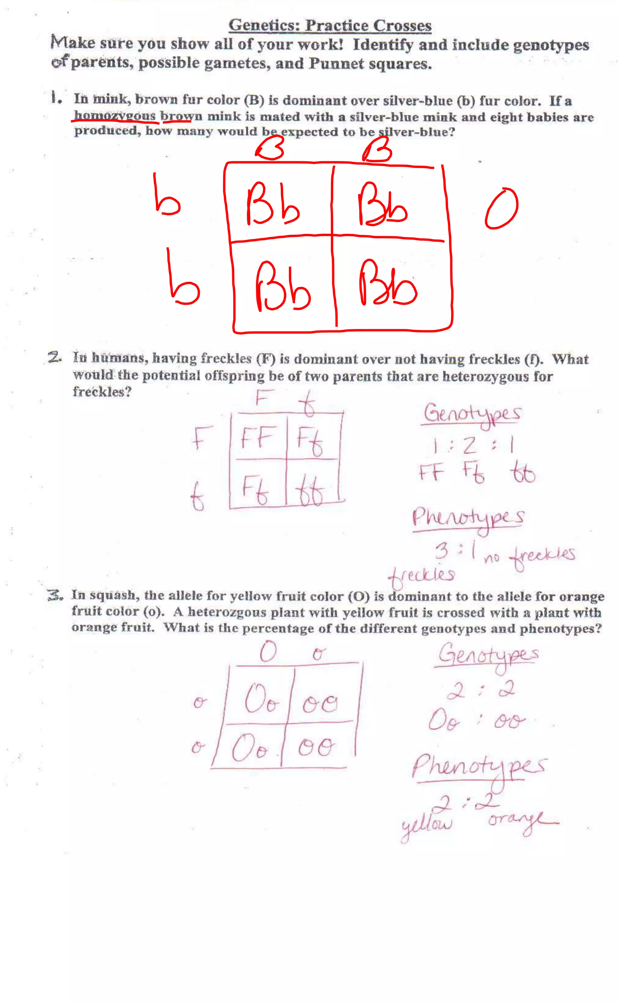 Genetic review for test | PPTX