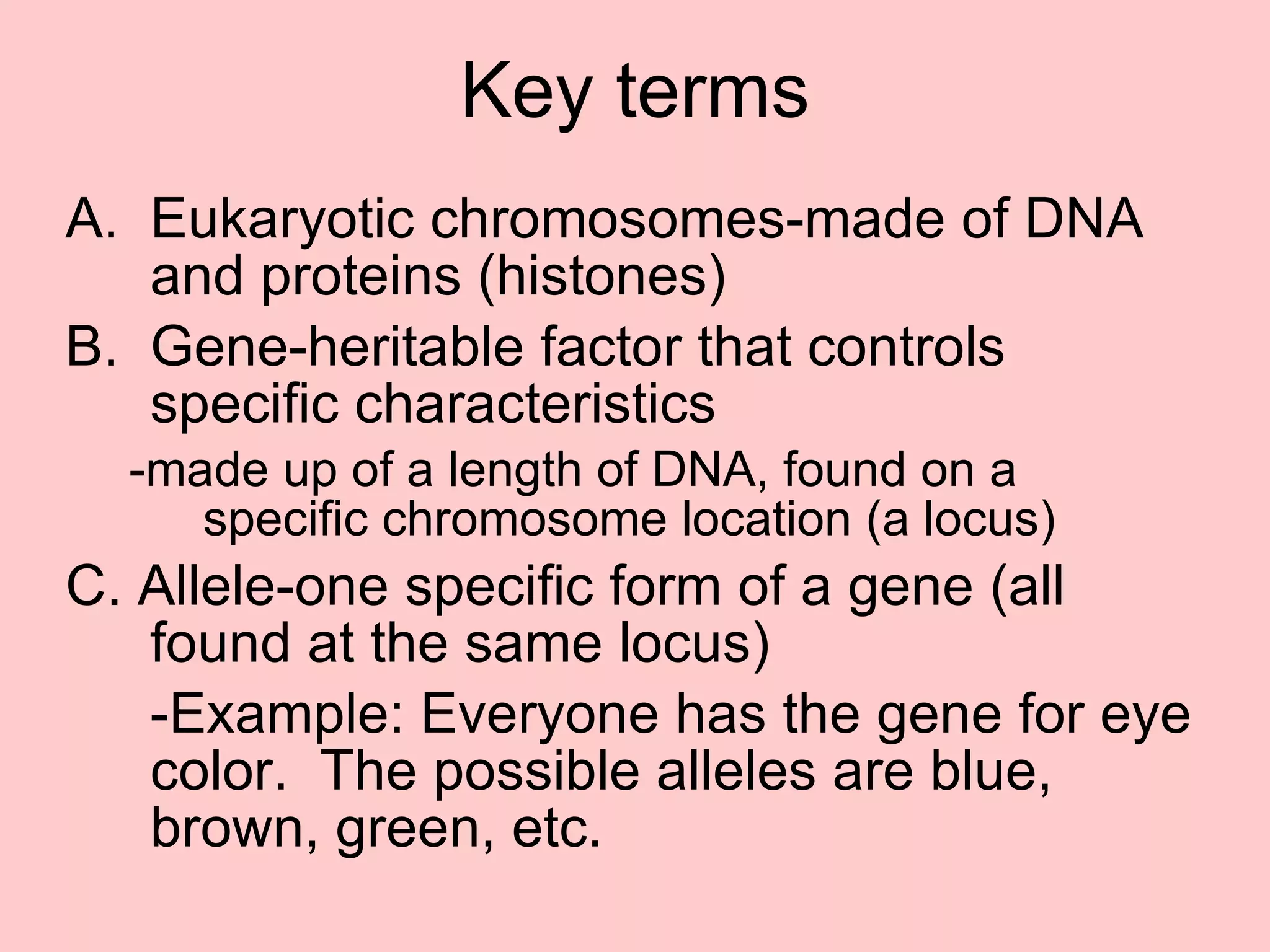 IB Biology Genetics | PPT