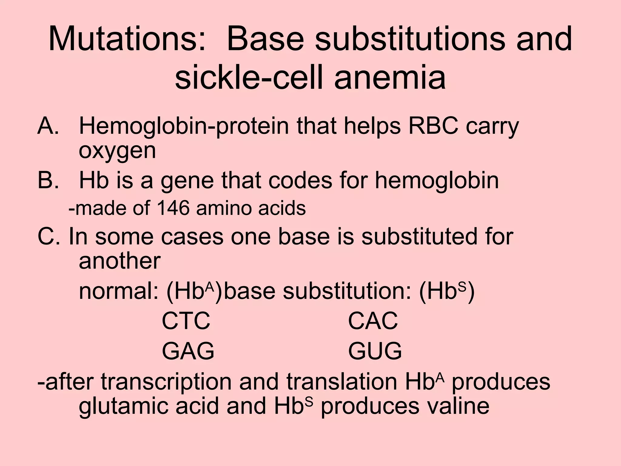 IB Biology Genetics | PPT