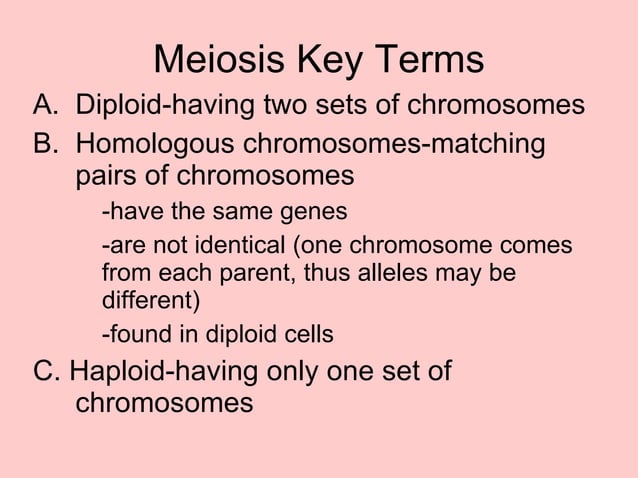 IB Biology Genetics | PPT