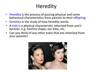 Genetics Day 1 | PPTX