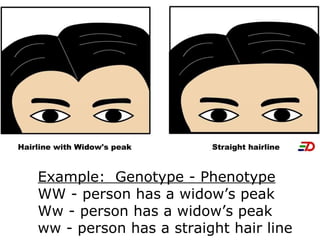 Genetics | PPT