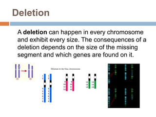 Genetics | PPTX