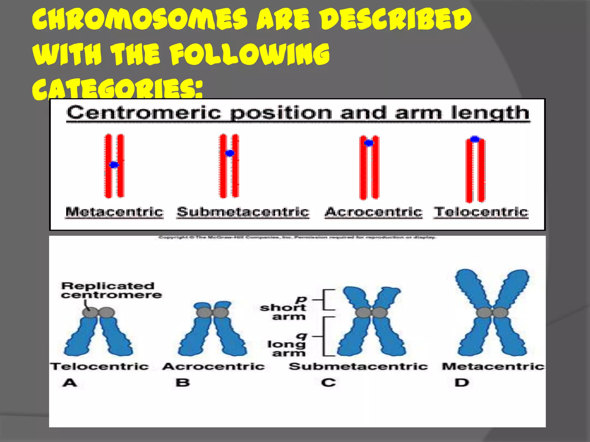 HUMAN CHROMOSOME AND CHROMOSOME BEHAVIOR | PPTX