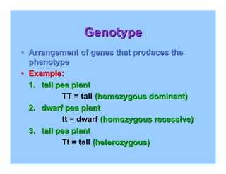 Examples Of Genotype