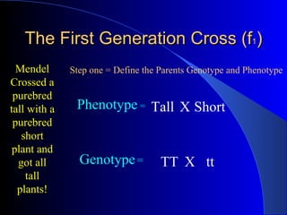 Genetics | PPT | Free Download