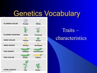 Genetics | PPT