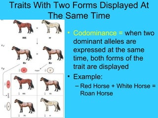Genetics_Ottolini_Biology | PPT