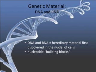 4 - Genetics | PPT