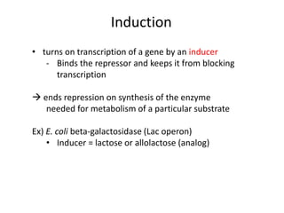 4 - Genetics | PPTX