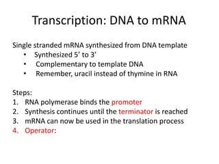 4 - Genetics | PPTX