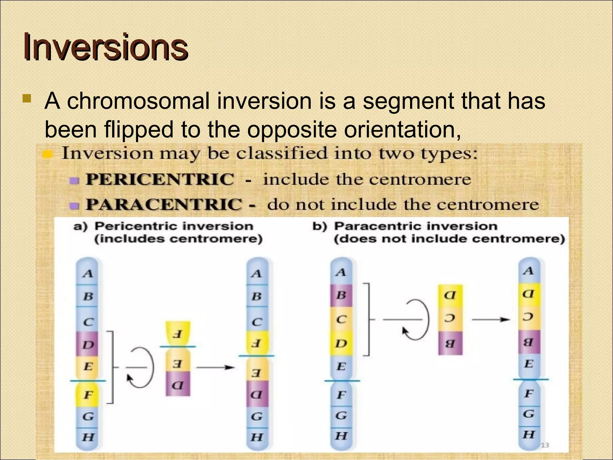 Genetics | PPT