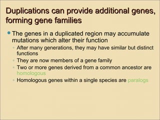 Genetics | PPT