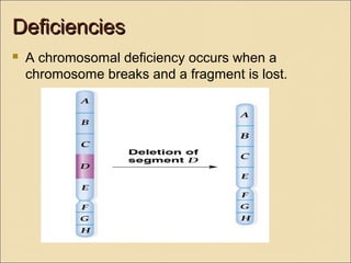 Genetics | PPT