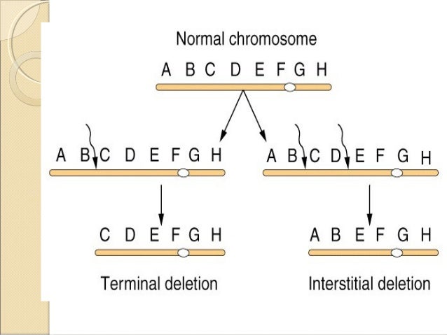 Genetics