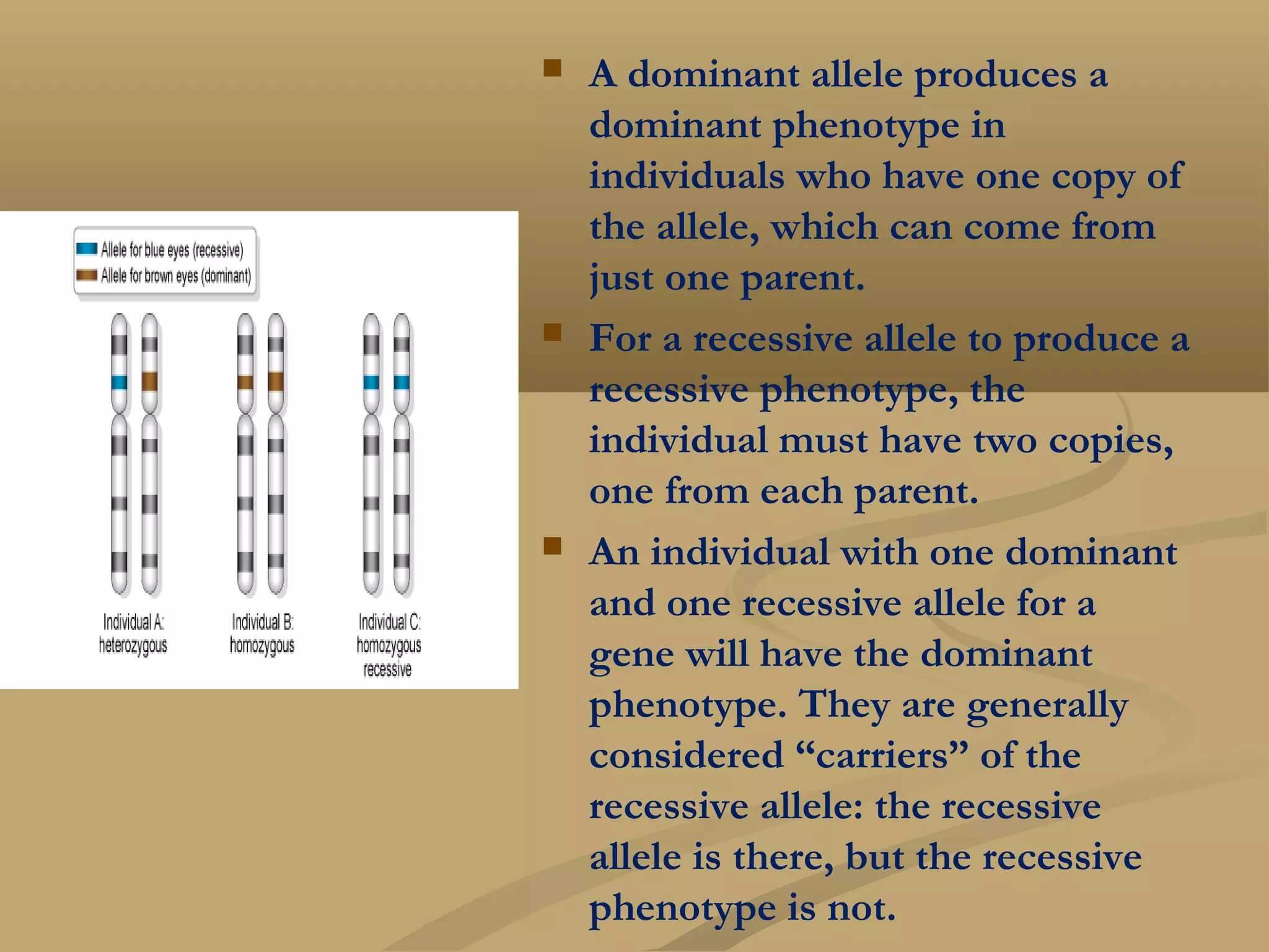 Genetics | PPT