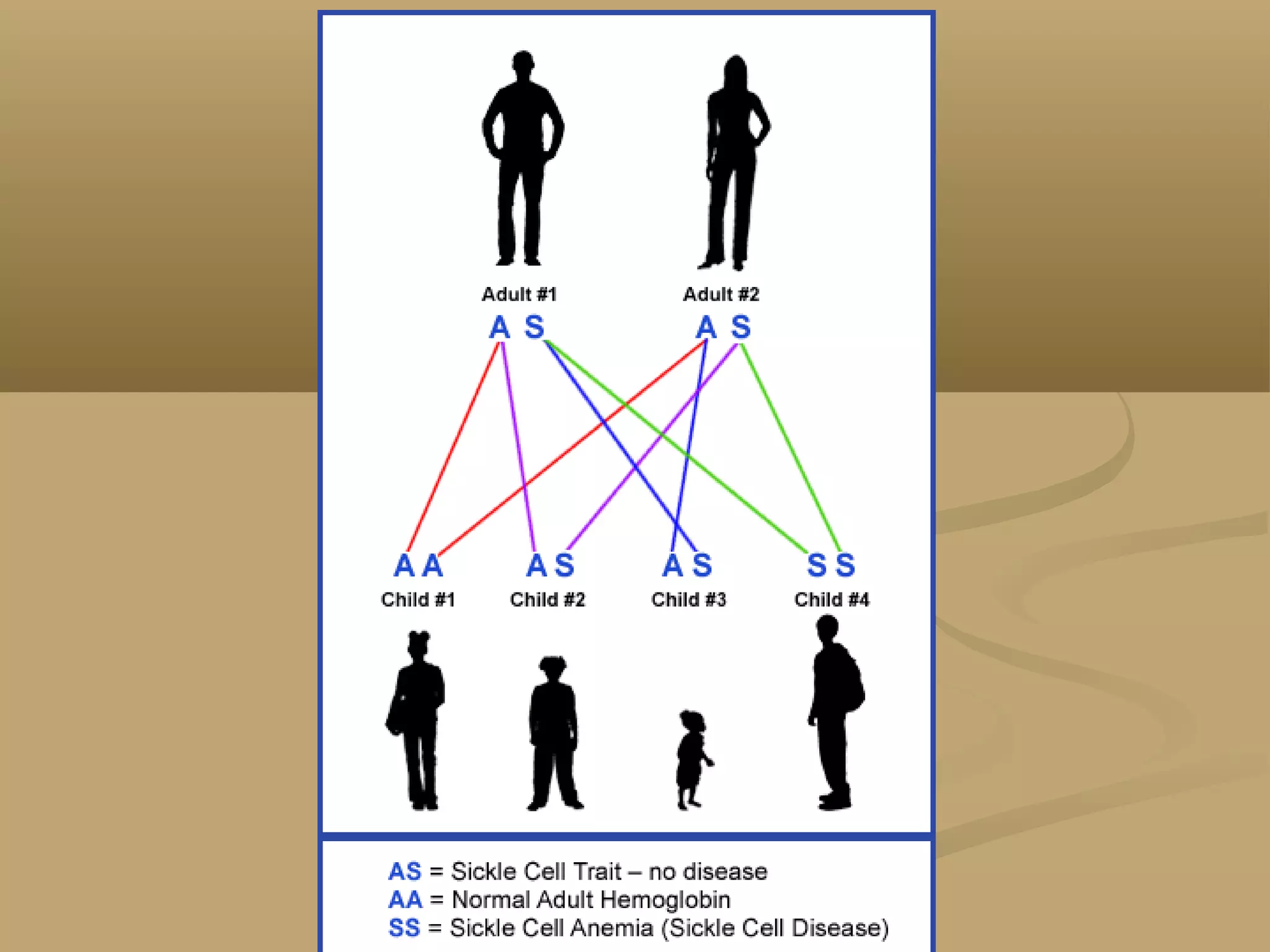 Genetics | PPT