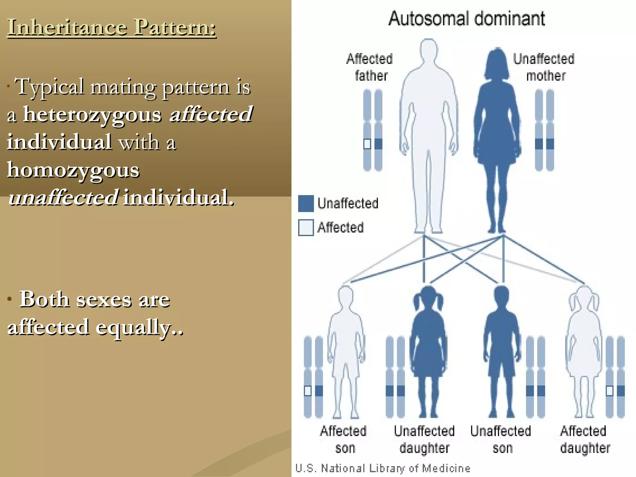Genetics | PPT