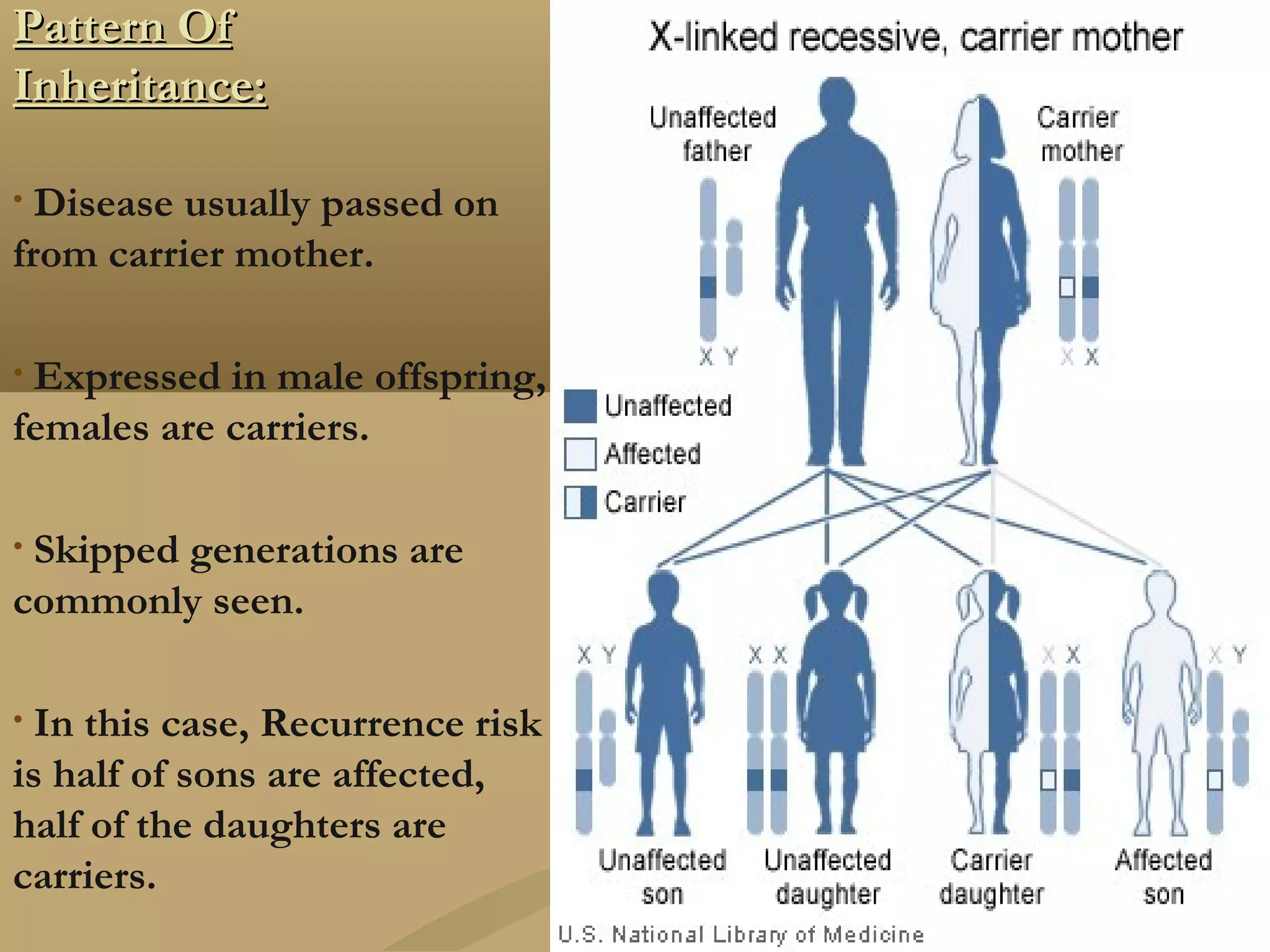Genetics | PPT