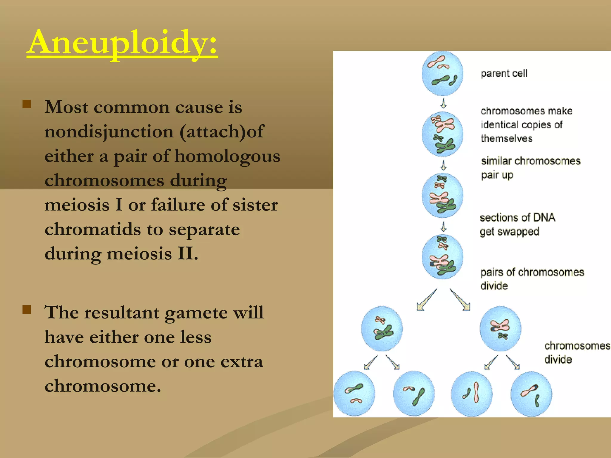 Genetics | PPT