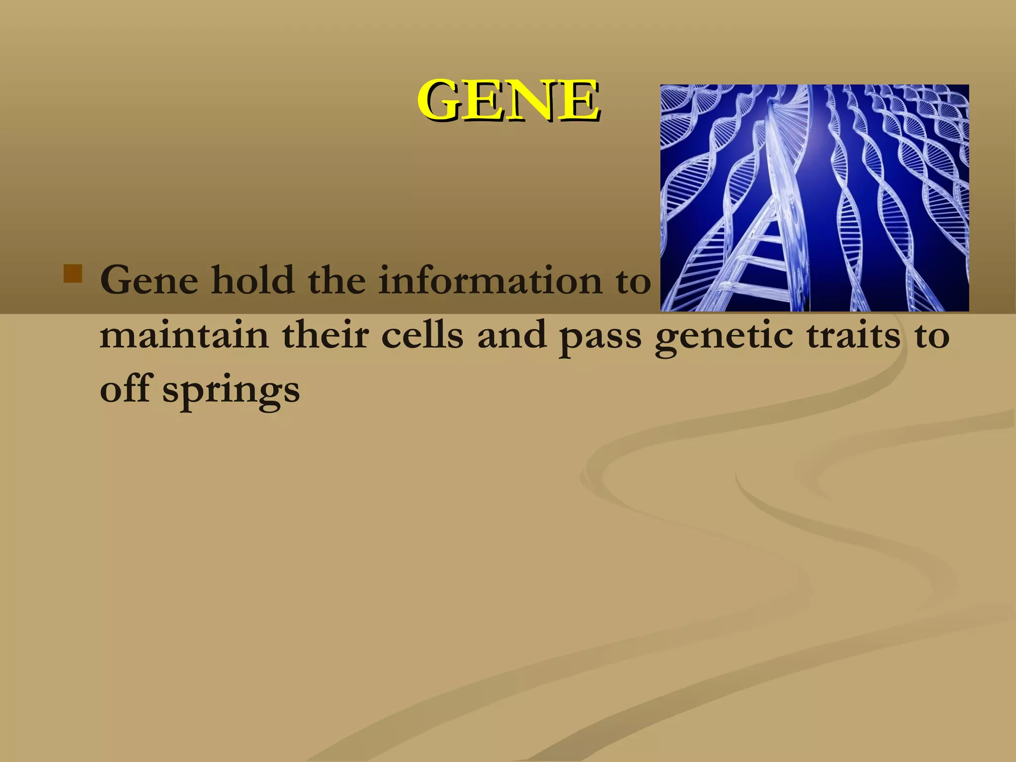 Genetics | PPT