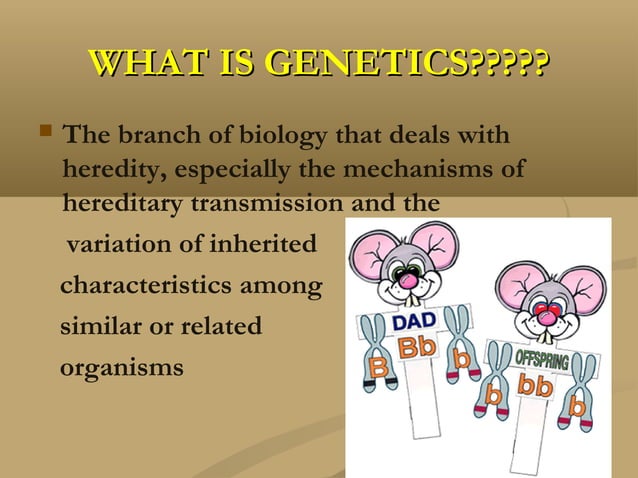 Genetics | PPT