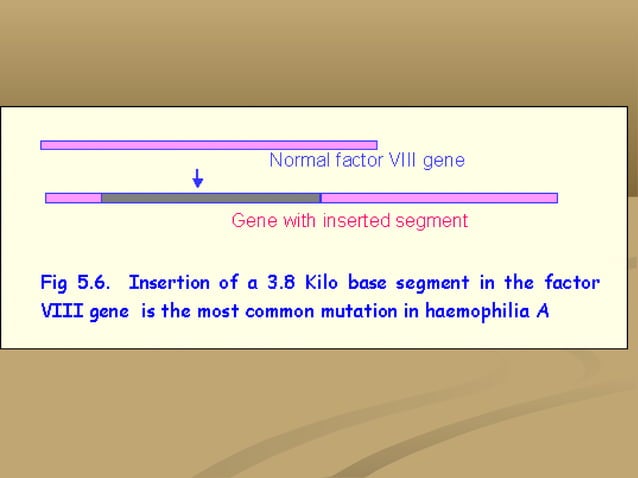 Genetics | PPT