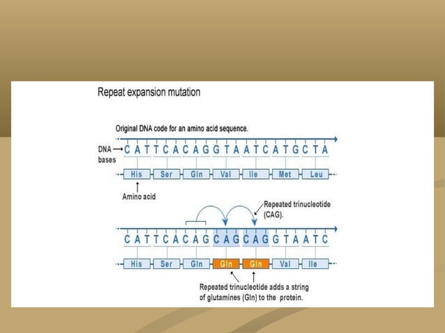 Genetics | PPT