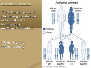 Genetics | PPT